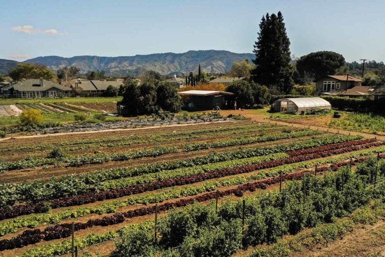 Patagonia, Regenerative Agriculture, and Saving the Planet